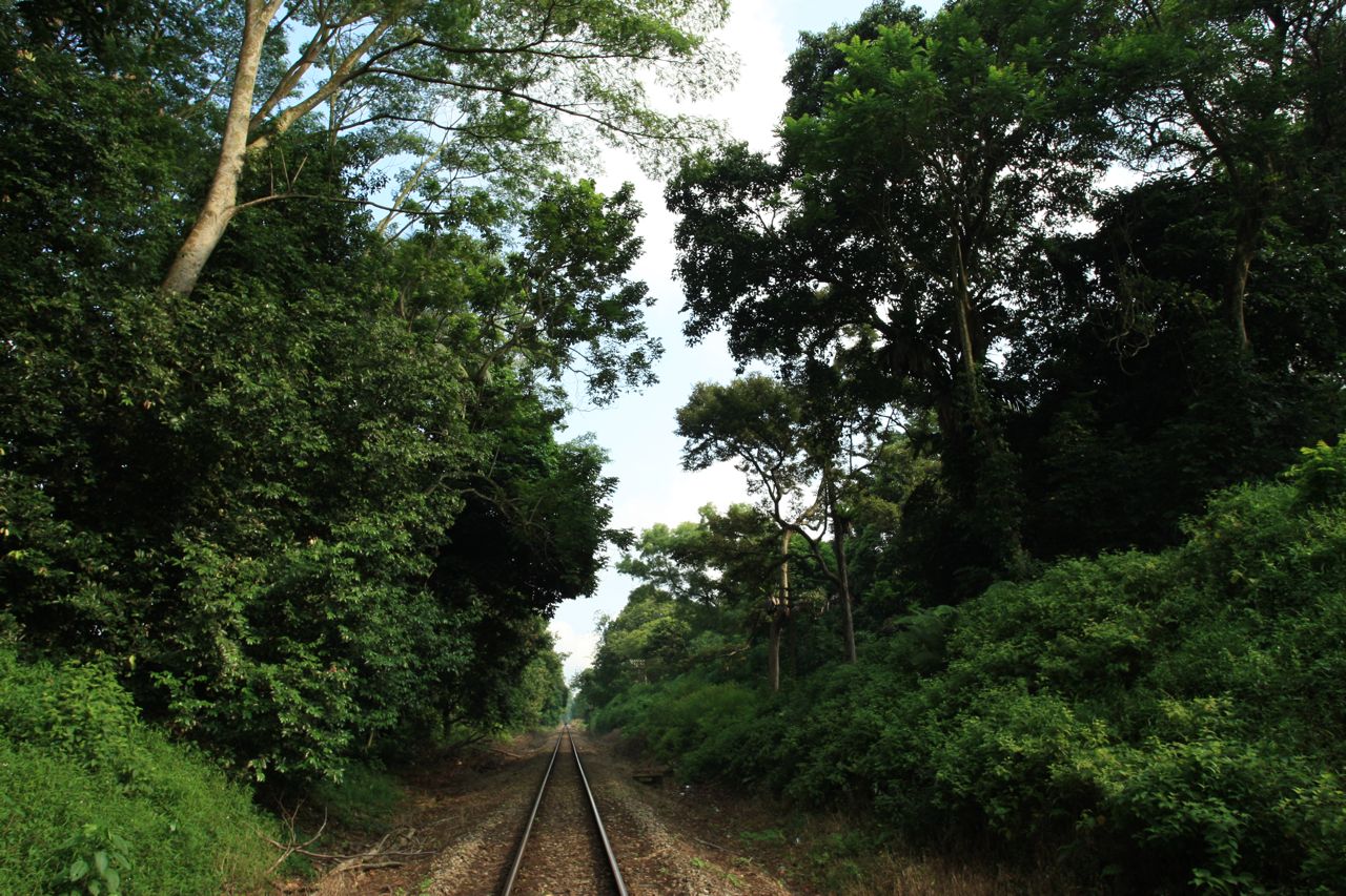 Railway Tracks Exploration Part 3 - Bukit Timah to Ten Mile Junction ...