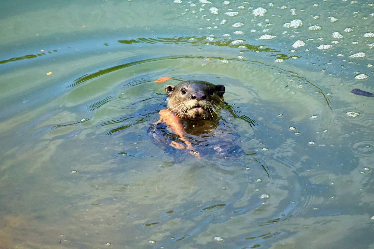 World Water Day 2022 - TGH Photography and Travel Portal/Blog