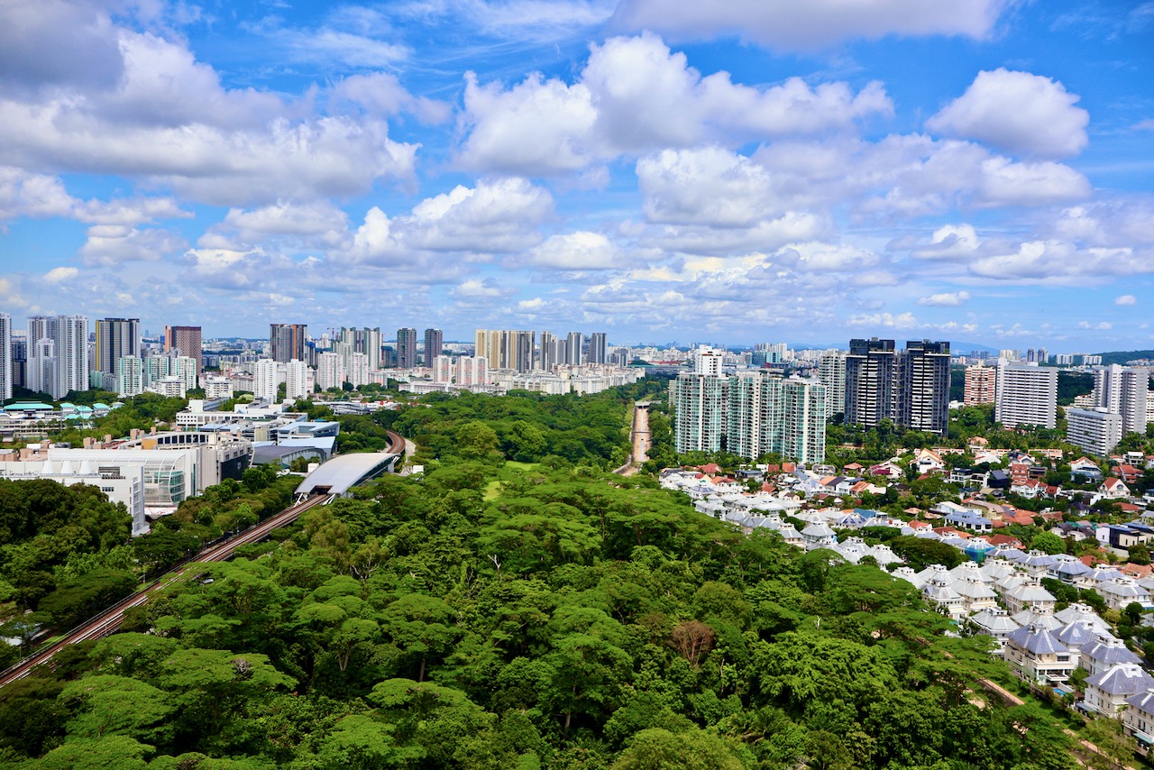 Dover Forest - An Exploration and Documentation - TGH Photography and ...