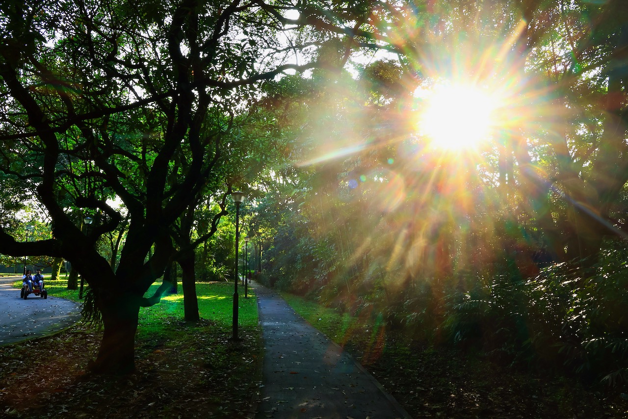 Celebrating National Photography Month in May 2023 - TGH Photography ...