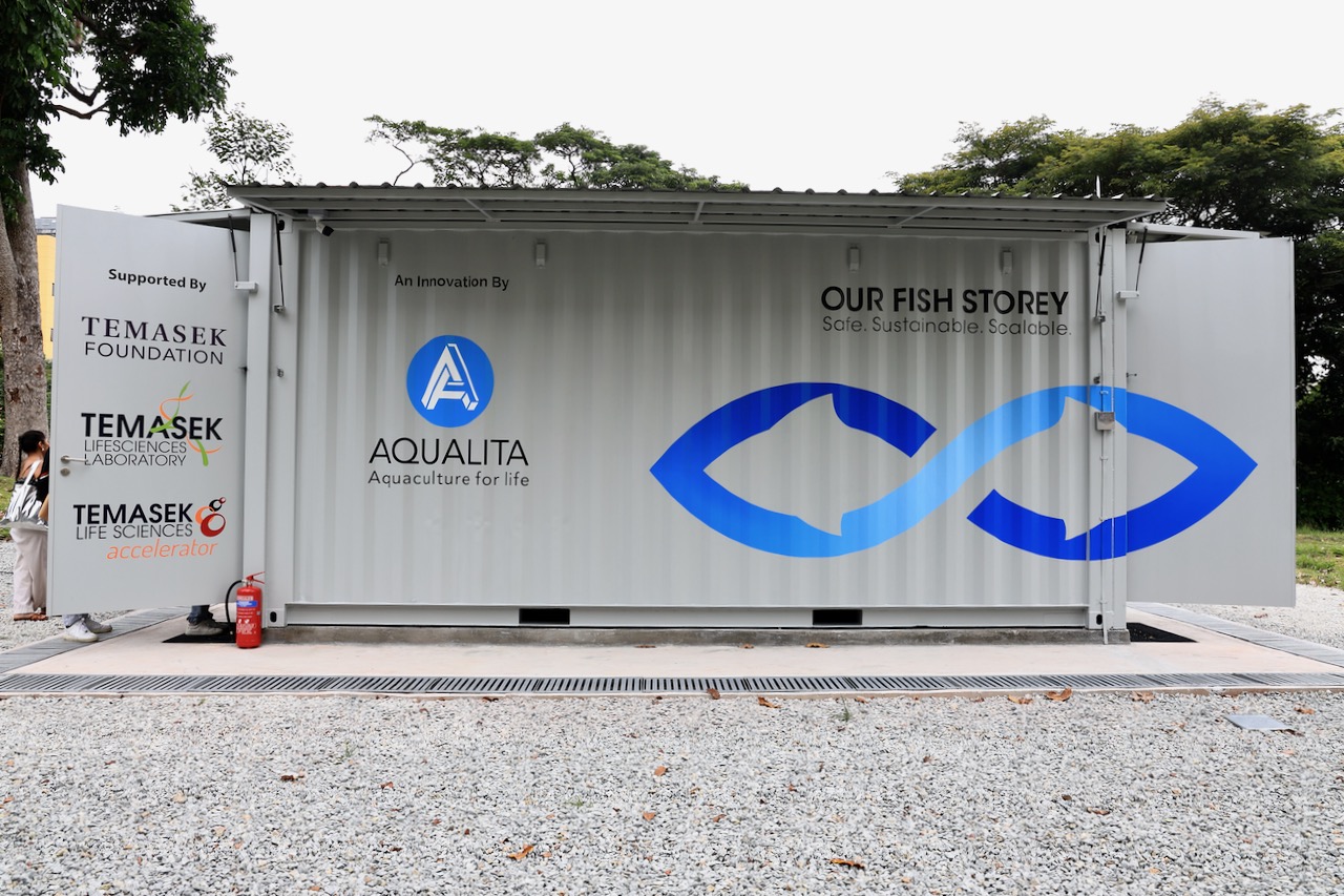 Sustainable Urban Fish Farming with the first HDB Container Fish Farm ...