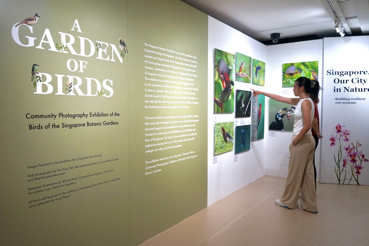 “A Garden of Birds” - Community photography exhibition at Singapore ...