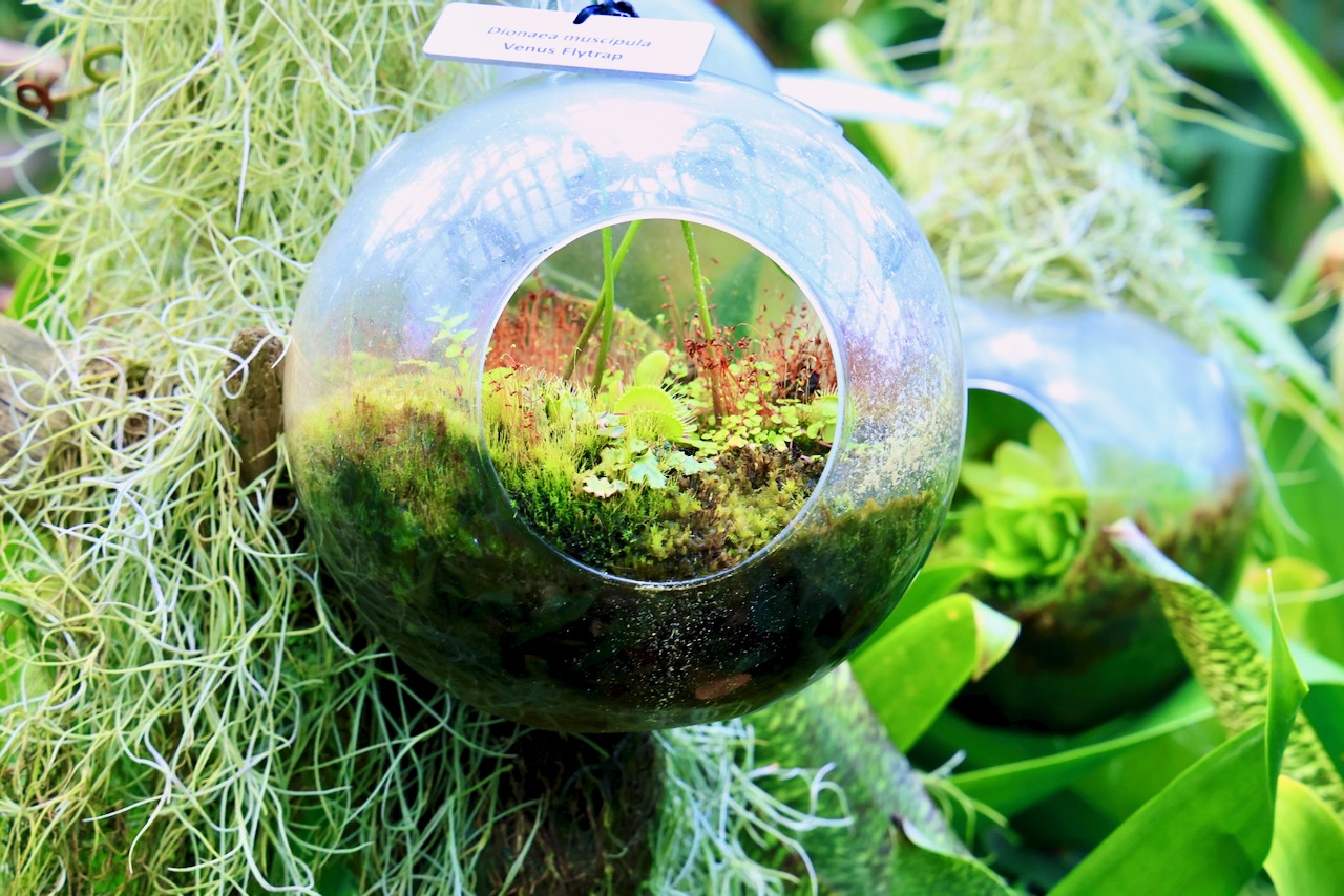 Photography / Visual Storytelling / Content Creation Themes for June ...